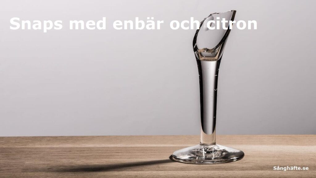 Recept på Snaps med enbär och citron